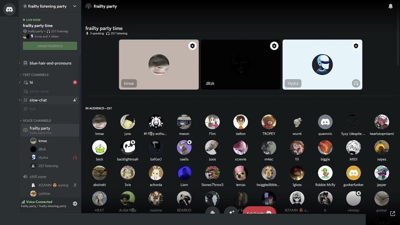 dltzk - Frailty Album Live Discord Listening Party + Chat - YouTube