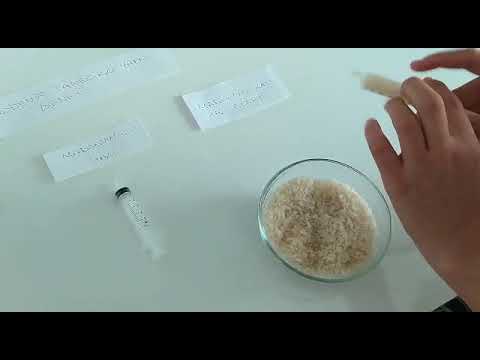 maddenin tanecikli yapısı(şırınga deneyi)