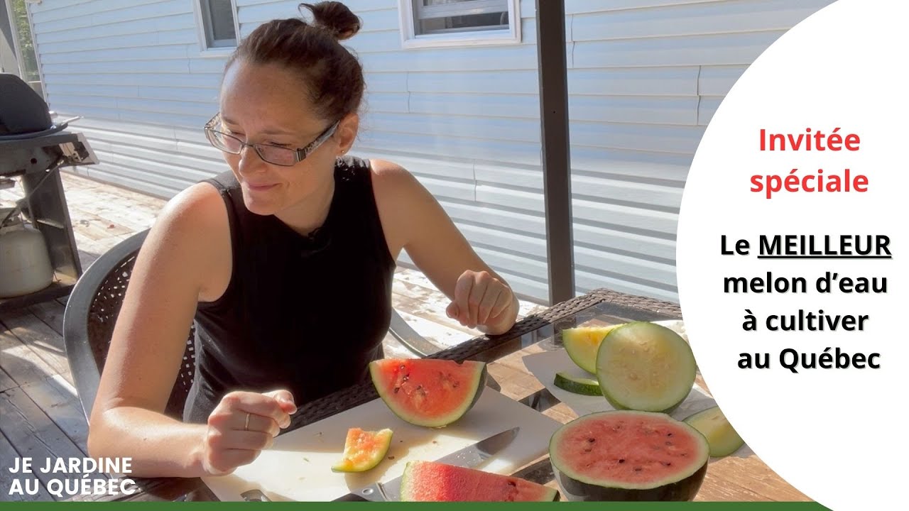 Quels melons d'eau cultiver au Québec? Mes choix! - YouTube