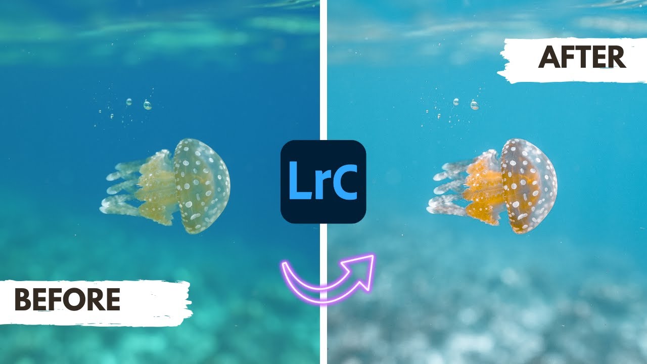 Master Underwater Photo Color Grading in Lightroom | Complete Tutorial ...