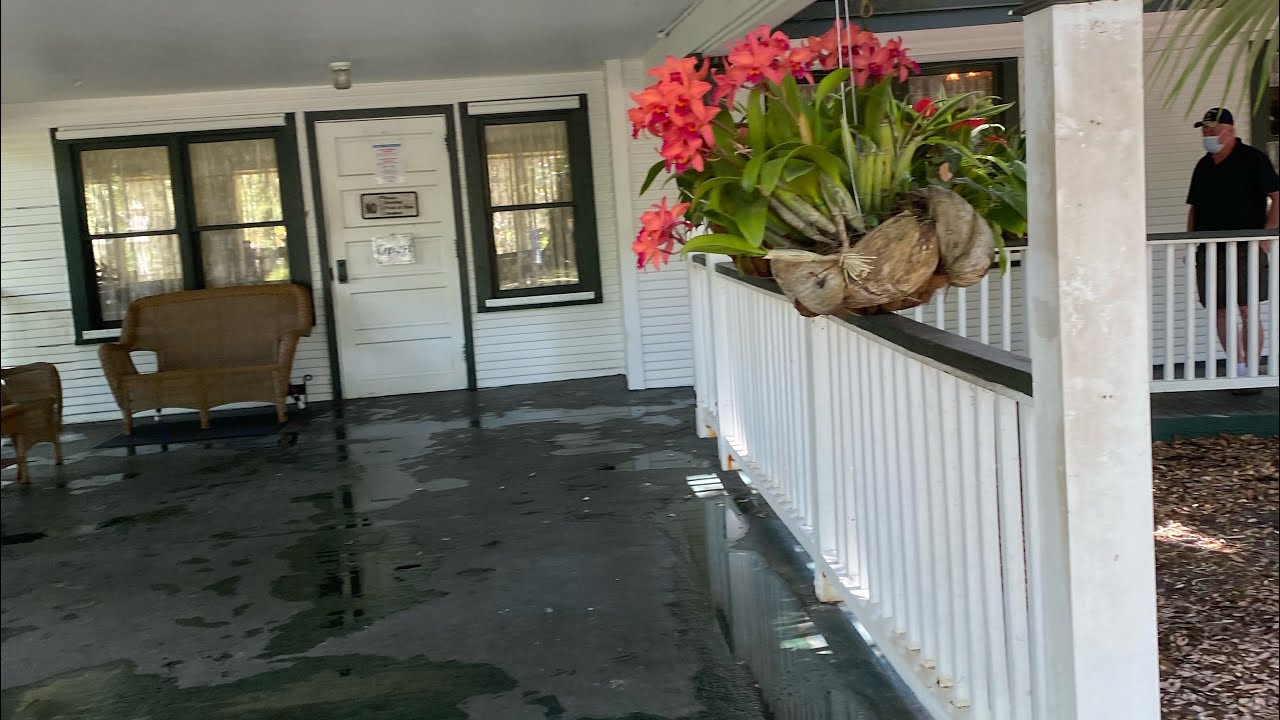 The Wray House at Flamingo Gardens! - YouTube