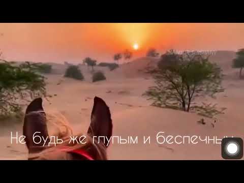 Это жизнь лишь миг один ❤️