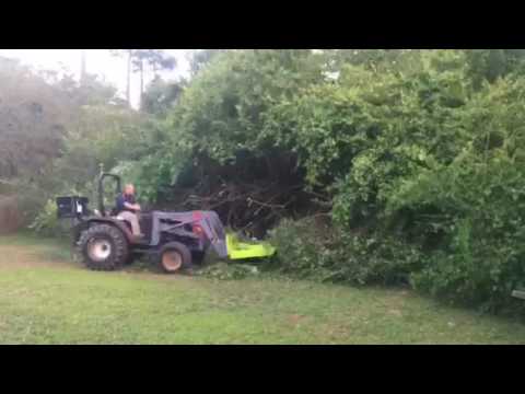 Lane Shark USA - YouTube