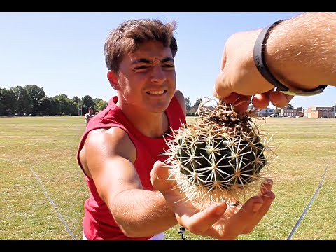 CACTUS SHOT PUT - LYMPICS 2016 - The Lazy Generation - YouTube