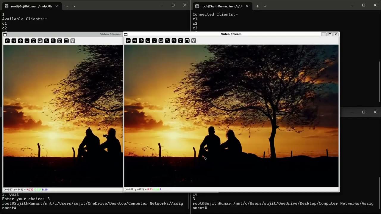 Secure Socket Programming System for Communication and Video Streaming ...