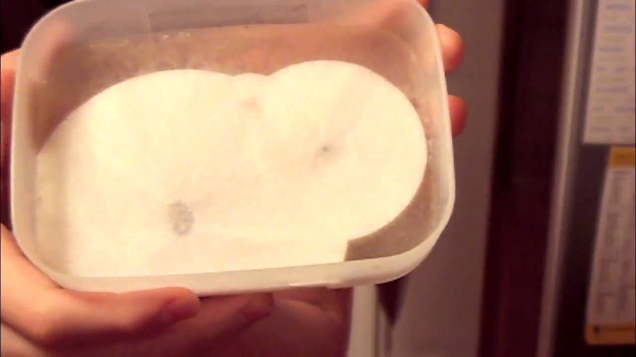 Making Hot Ice (Crazy Science Experiment) - YouTube