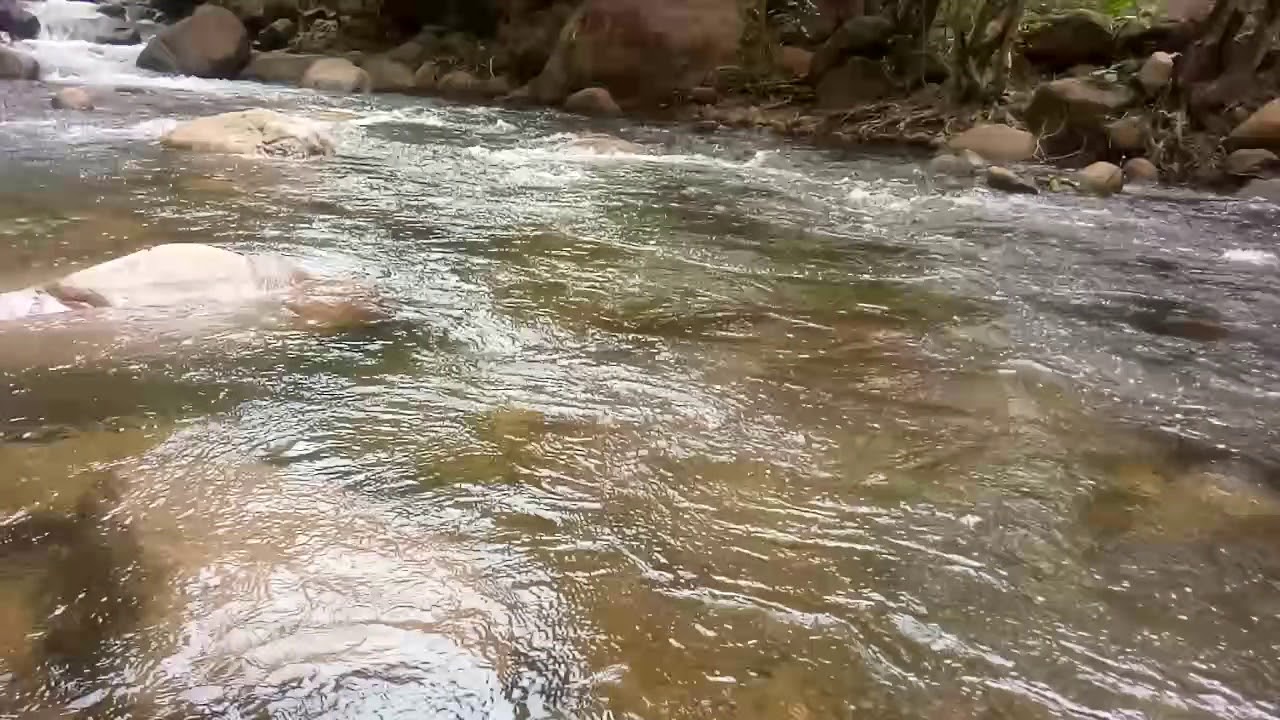 Kadayam Ramanathi Dam - YouTube