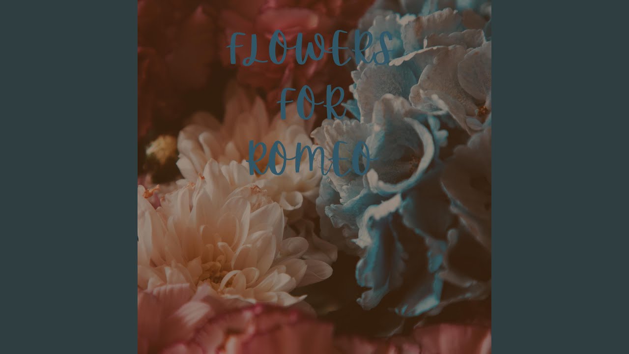 "FLOWERS FOR ROMEO" Melodic Guitar Type Beat (2024) - YouTube