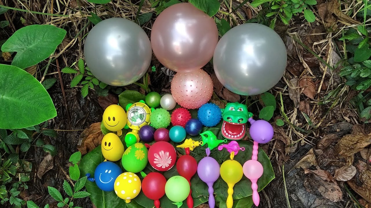 meletuskan balon warna warni, balon karakter, balon bunga, balon ...