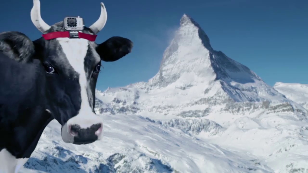 Swiss Milk - YouTube