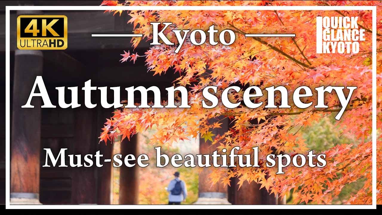 Autumn foliage in kyoto🍁 See the beautifully colored autumn leaves of ...