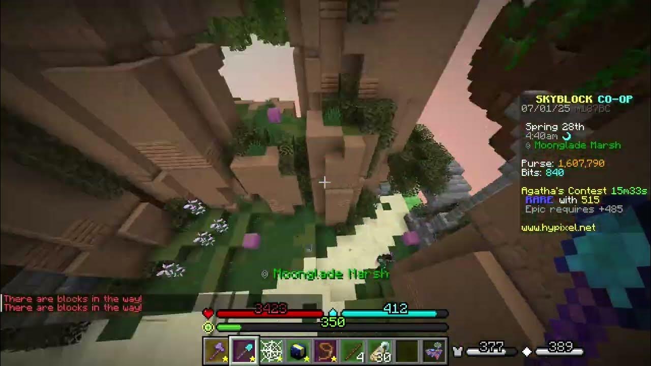 Fig macroer on Galatea? 100% move accuracy, API OFF? | Hypixel Skyblock ...