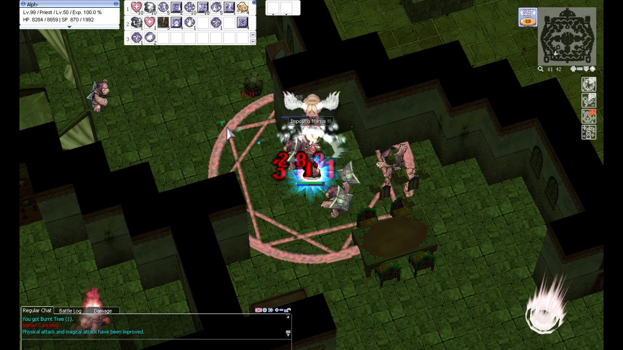 Ragnarok Project Zero - ME Priest @ Turtle Dungeon 3 - YouTube