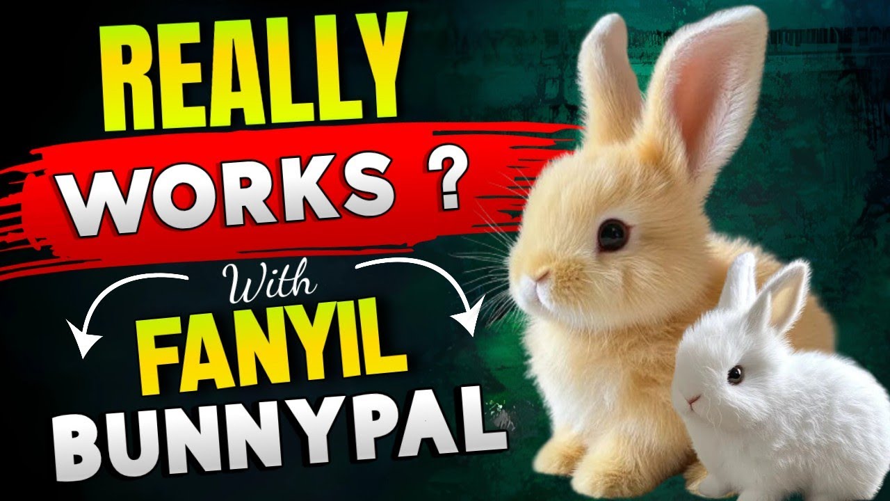 Fanyil BunnyPal Review - Does It Work Or A Scam? - YouTube