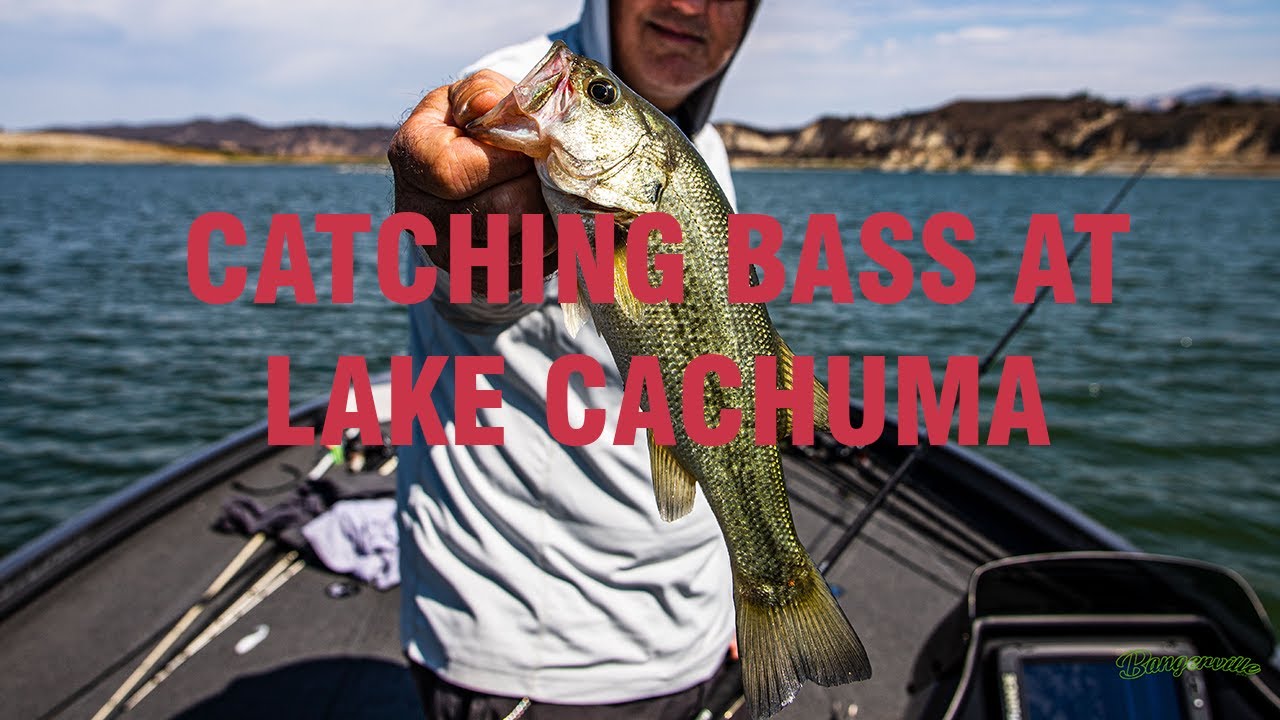 Bass Fishing Lake Cachuma Santa Barbara California 4K 60fps - YouTube