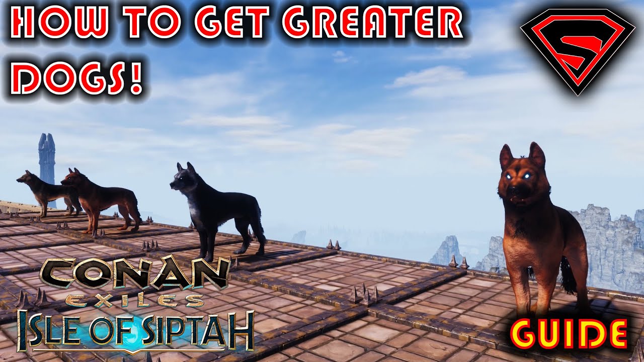 CONAN EXILES ISLE OF SIPTAH HOW TO GET GREATER DOGS [ALL PLAYFUL PUP ...