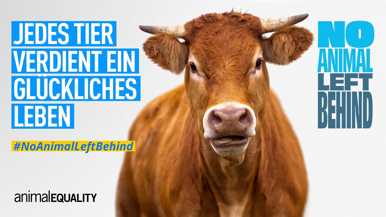 No Animal Left Behind: Ein glückliches Leben - YouTube