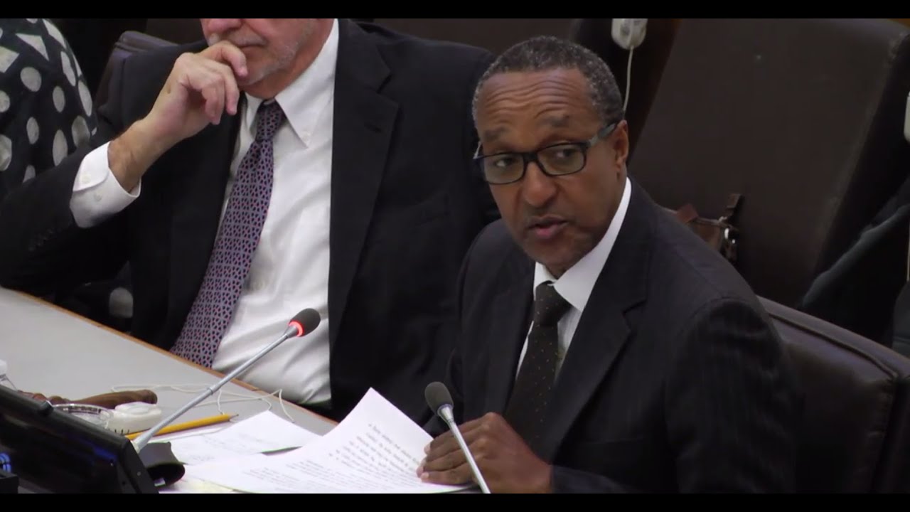 UNICEF Executive Board President: Doing more for children - YouTube