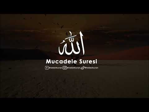 Mucadele Suresi Meali - Kuran Dinle - Hadisler - Dini Videolar - #kuran #kurandinle #islamic #quran