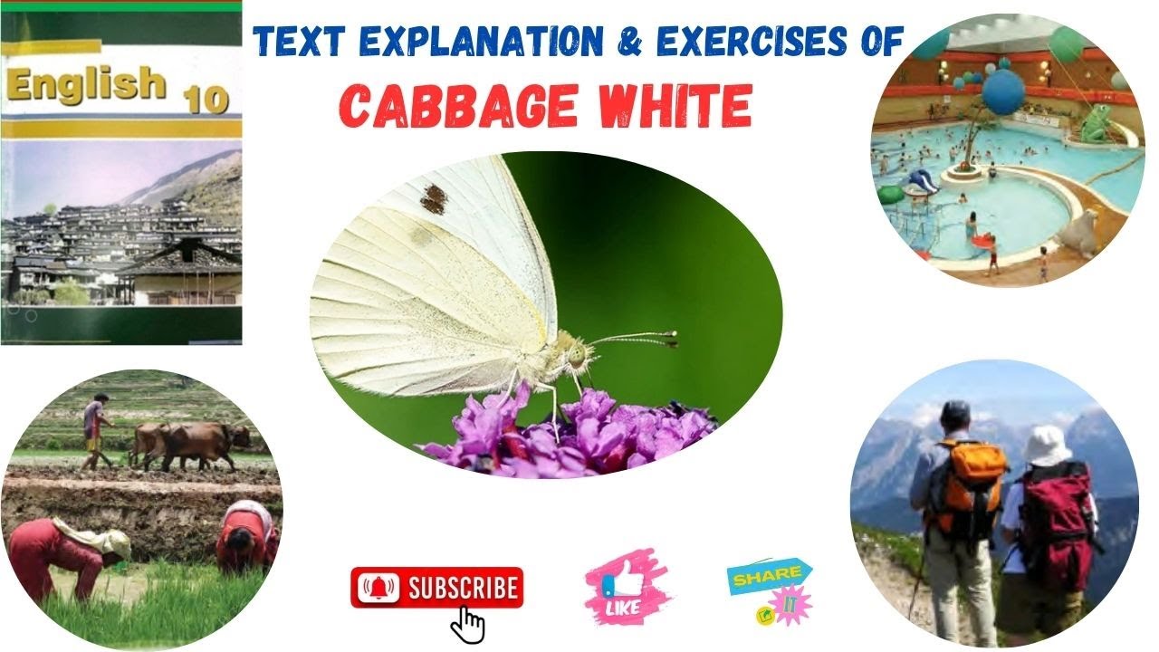 CLASS 10📚 UNIT 4 II CABBAGE WHITE 👉 TEXT EXLPLANATION WITH ALL ...