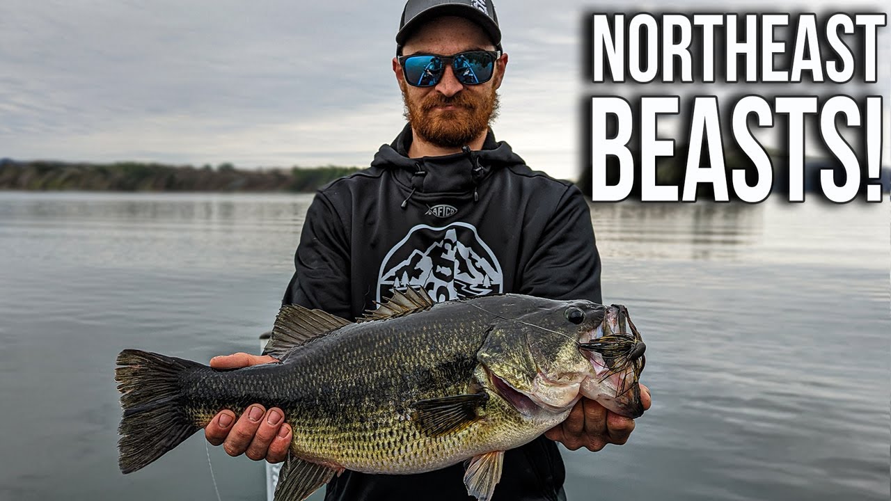Big Northern Bass! - YouTube