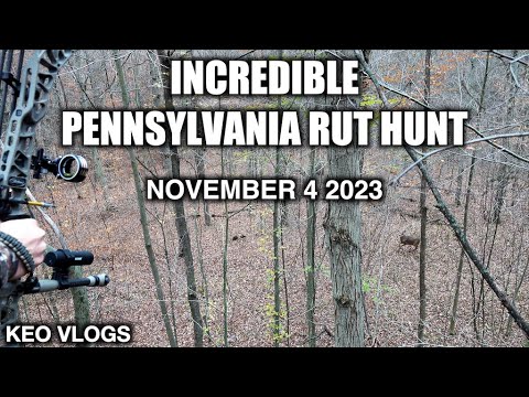 Incredible Pennsylvania Rut Hunt - YouTube