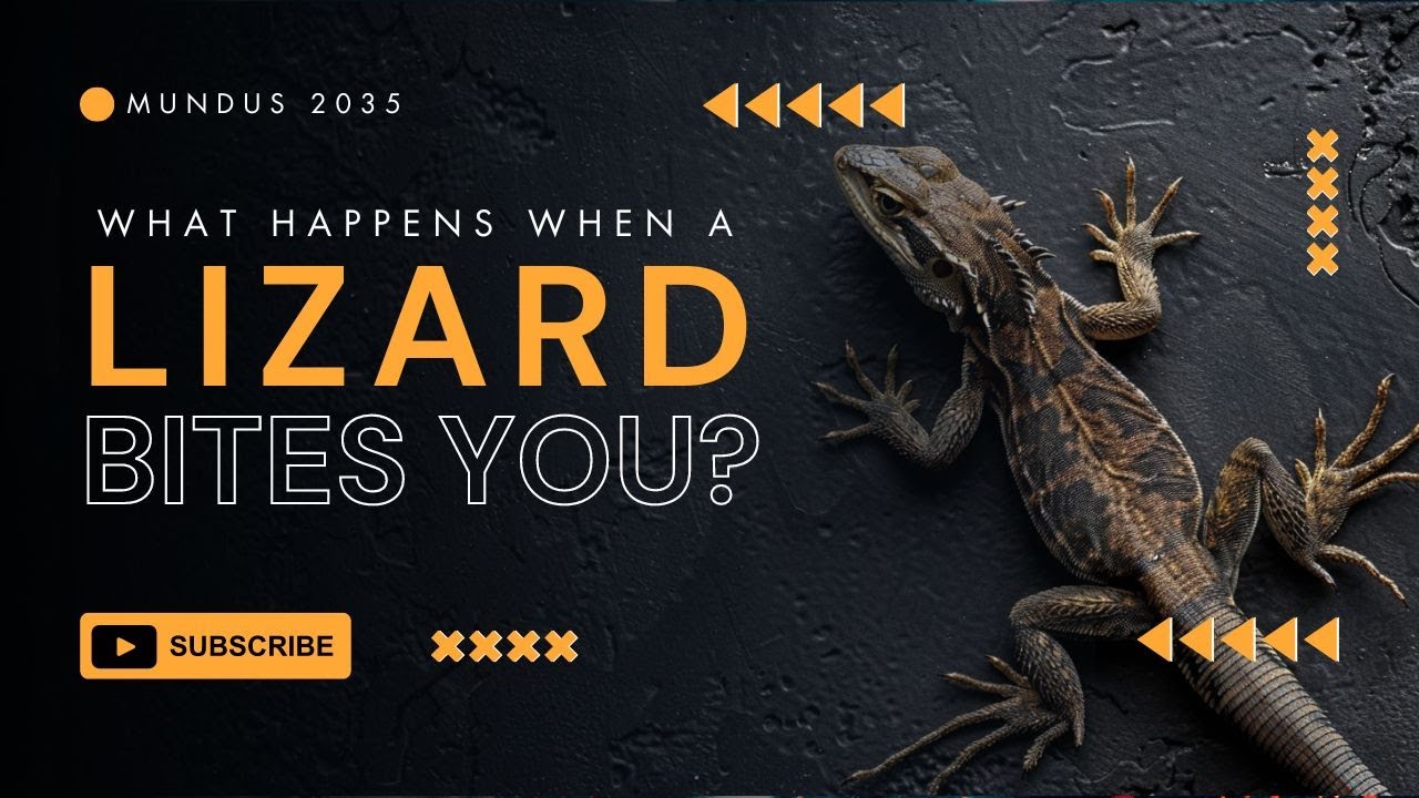 What Happens When a Lizard Bites You? | #Lizard #wildlife #reptiles # ...