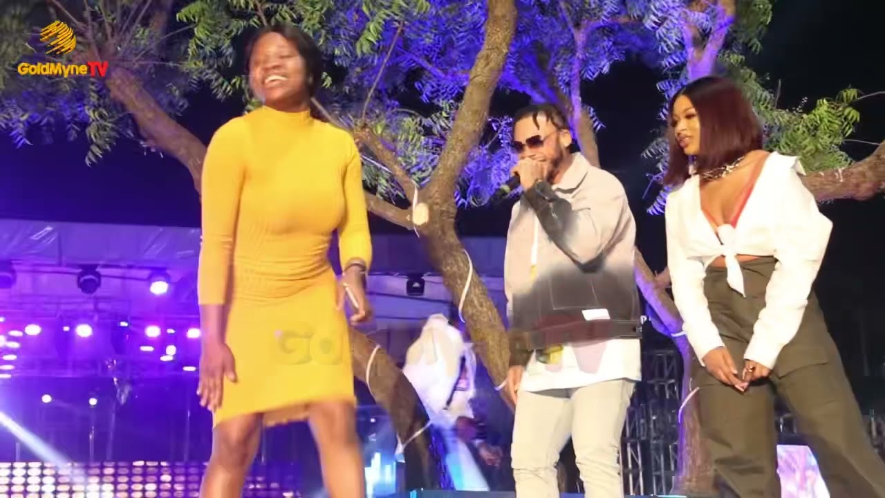 POCO LEE PERFORMANCE AT WIZKID LIVE IN CONCERT ABUJA LAST NIGHT - YouTube
