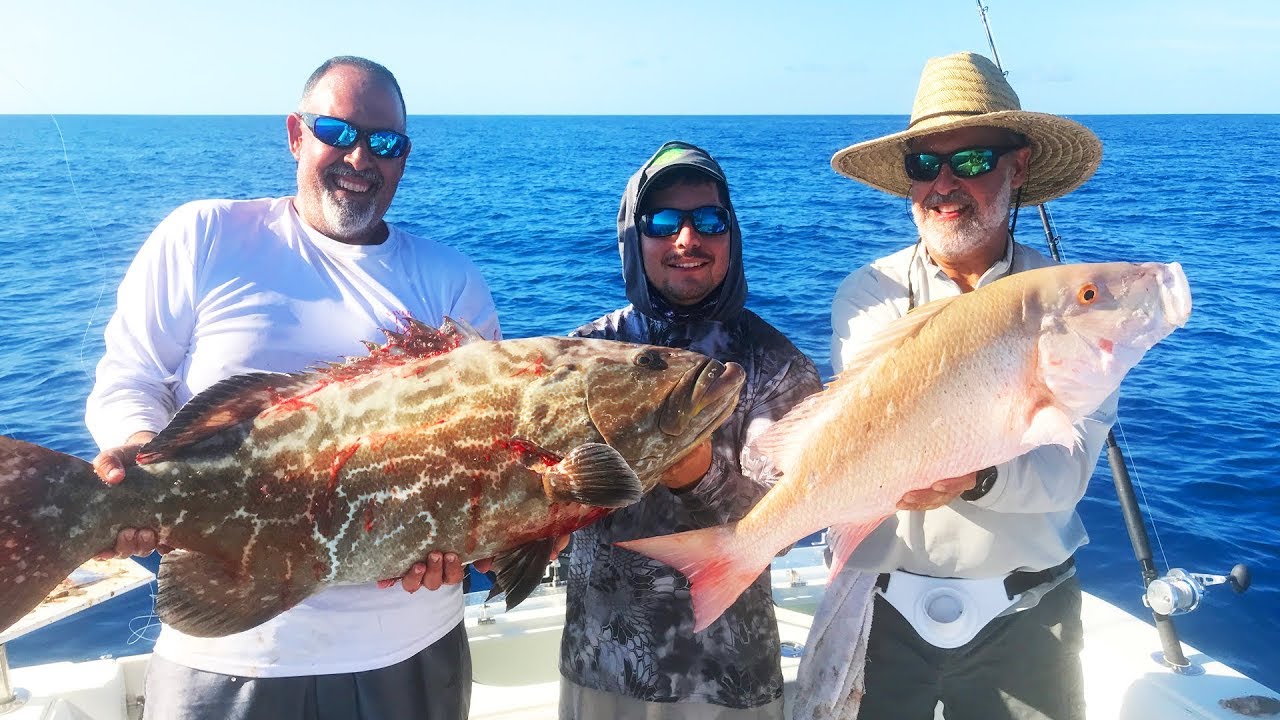 Dry Tortugas - Fish Assassination - YouTube
