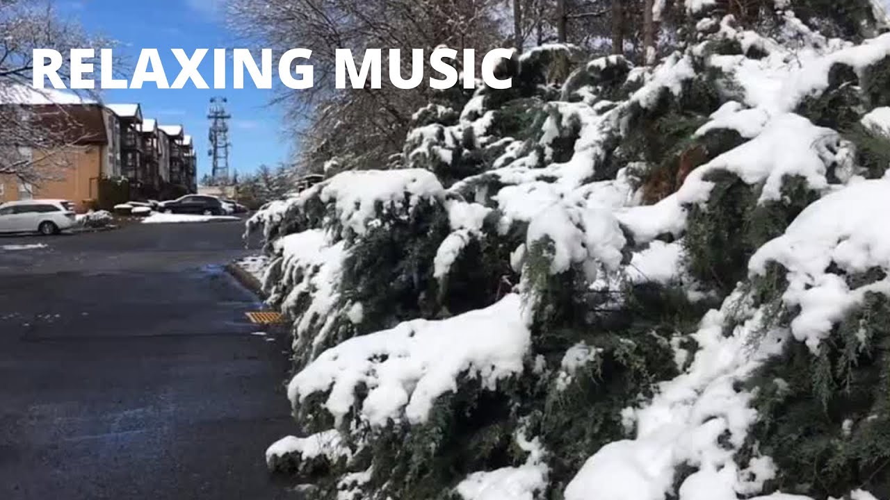 3 MINUTE CALM AND RELAXING MUSIC|CLASSICAL CALM PIANO MUSIC| RELAX ...