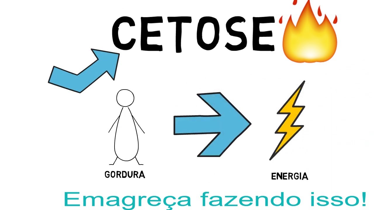 Como Entrar Em Cetose Rapidamente - RETOEDU