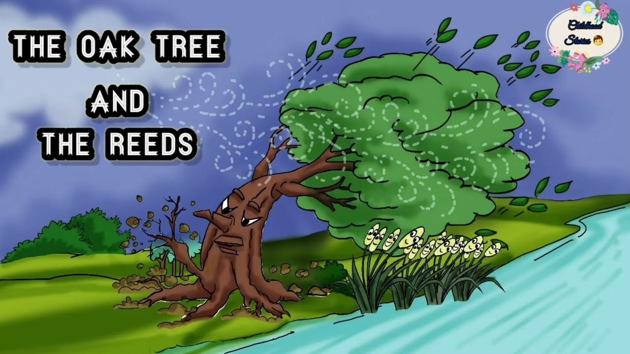 The Oak Tree And The Reeds - YouTube