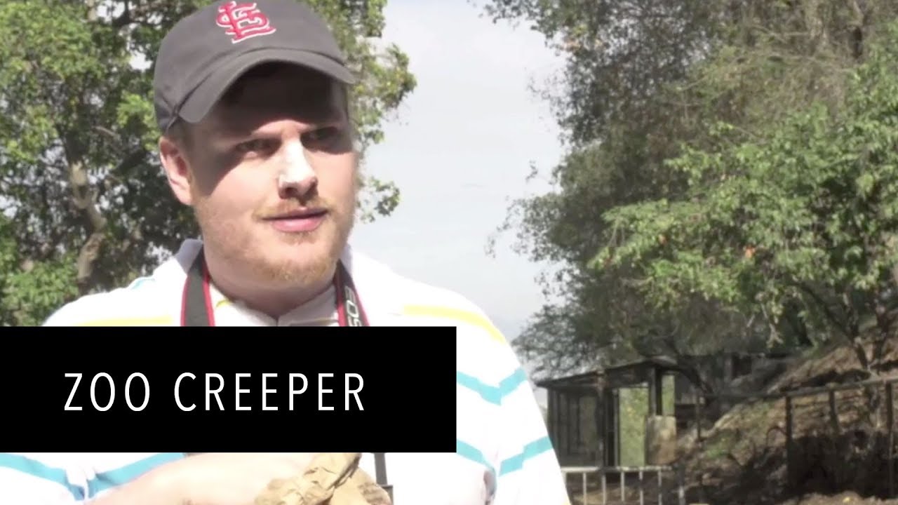 The Zoo Creeper! - YouTube