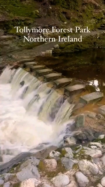Tullymore Forest Park#Northern Ireland #Beautiful world 4k#Barak Obama ...