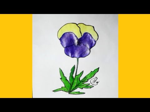 How to draw a SWEET VIOLET FLOWER step by step || Easy drawing for kids ...