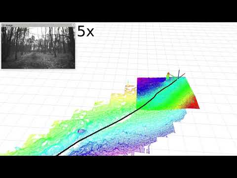 Online Estimation of Diameter at Breast Height for Trees in Forests Using a Handheld LiDAR
