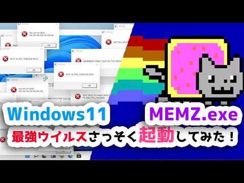 Windows11に最強ウイルス入れて実験してみた （Windows11でMEMZ.exe起動してみた） - YouTube