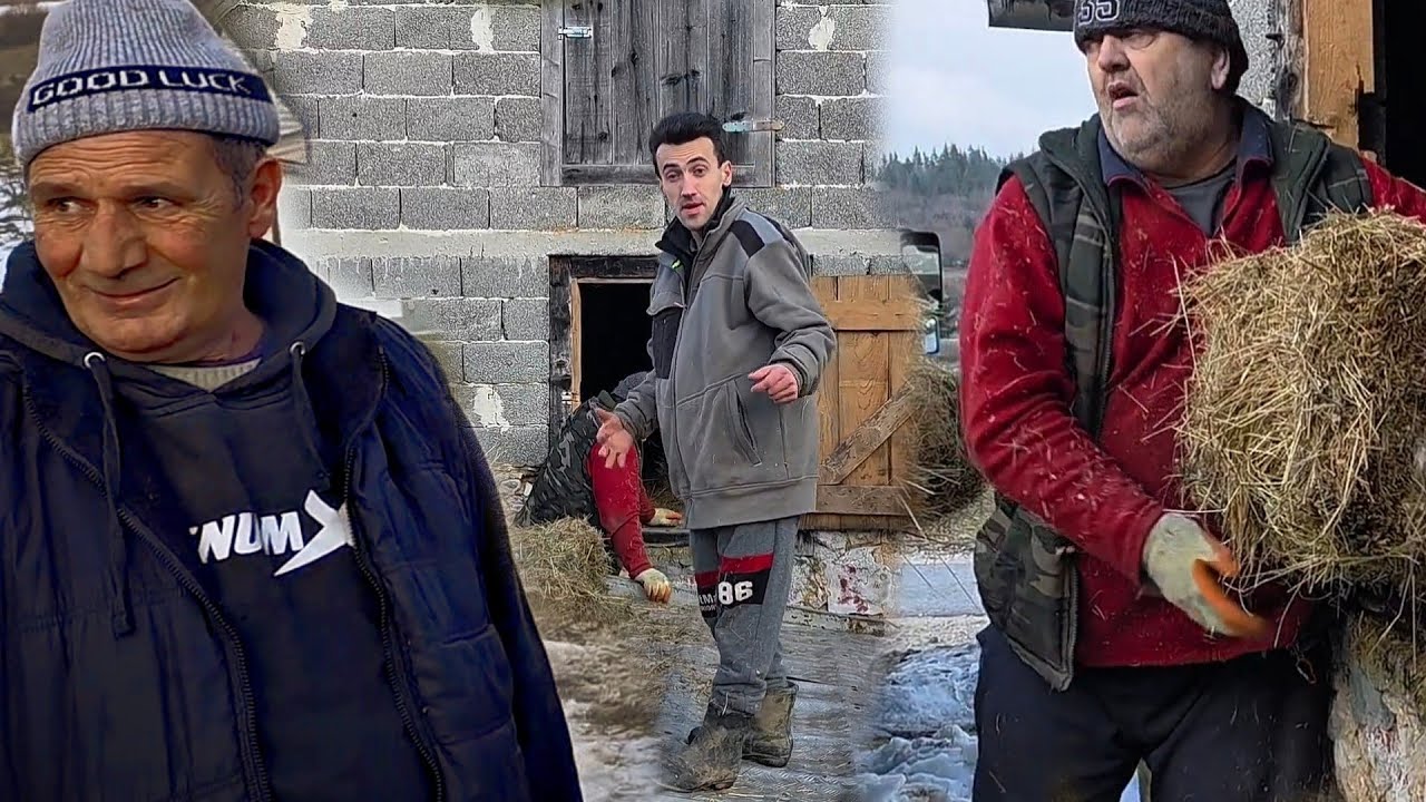 Kad se složne ruke slože: Operacija "Sijeno" uspješno završena,,Ibro ...