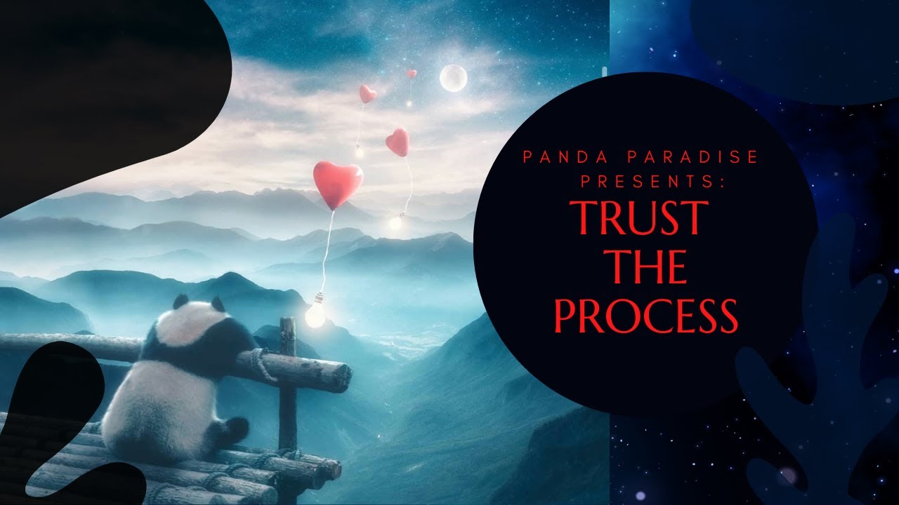 Panda Paradise - “TRUST THE PROCESS” - YouTube