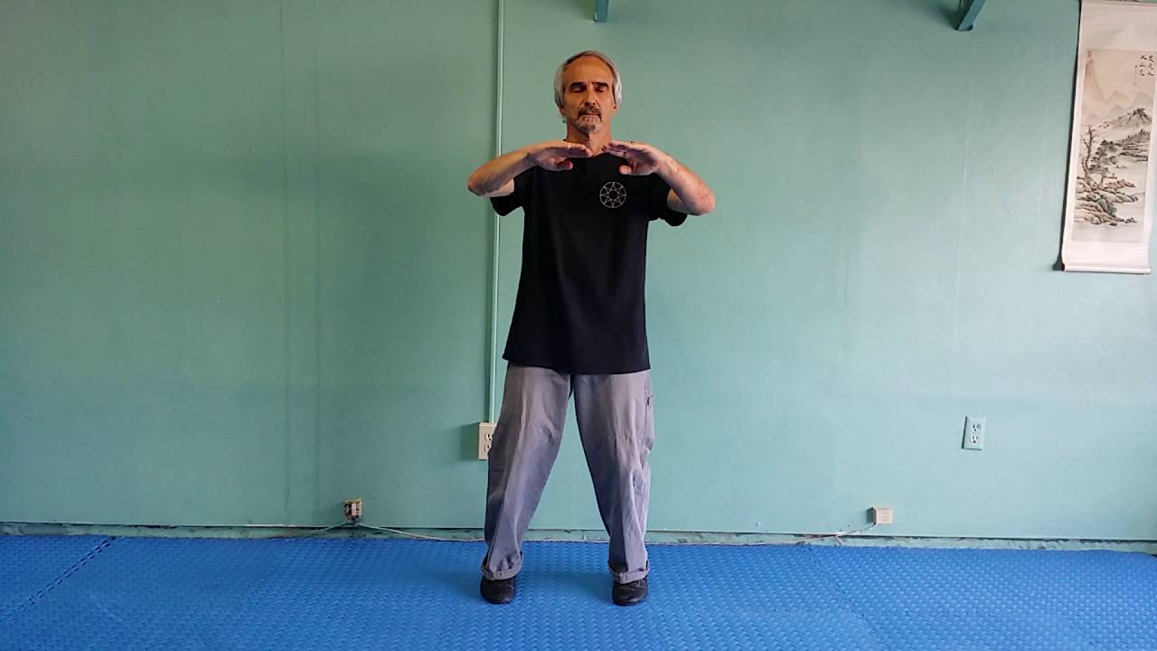 Wing Chun - 8 Hand Positions - YouTube