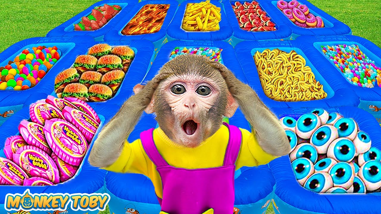 Monkey Toby experiences Mystery Pools Challenge Don't Fall into the ...