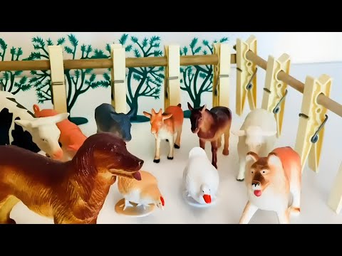 Meet Friendly Farm Animals / Farm Animals for Kids - YouTube