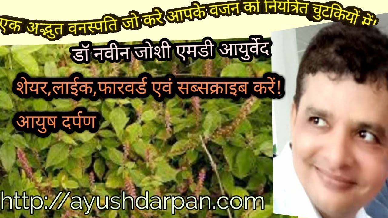 Medicinal Importance of Apamaraga/Achyranthes aspera/Prickly Chaff ...