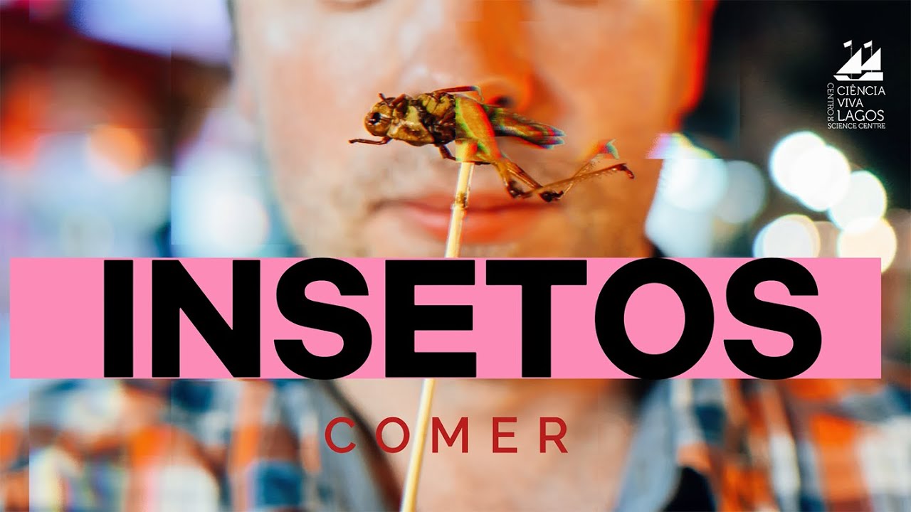 Comer Insetos - Viscoso mas..Gostoso! - YouTube