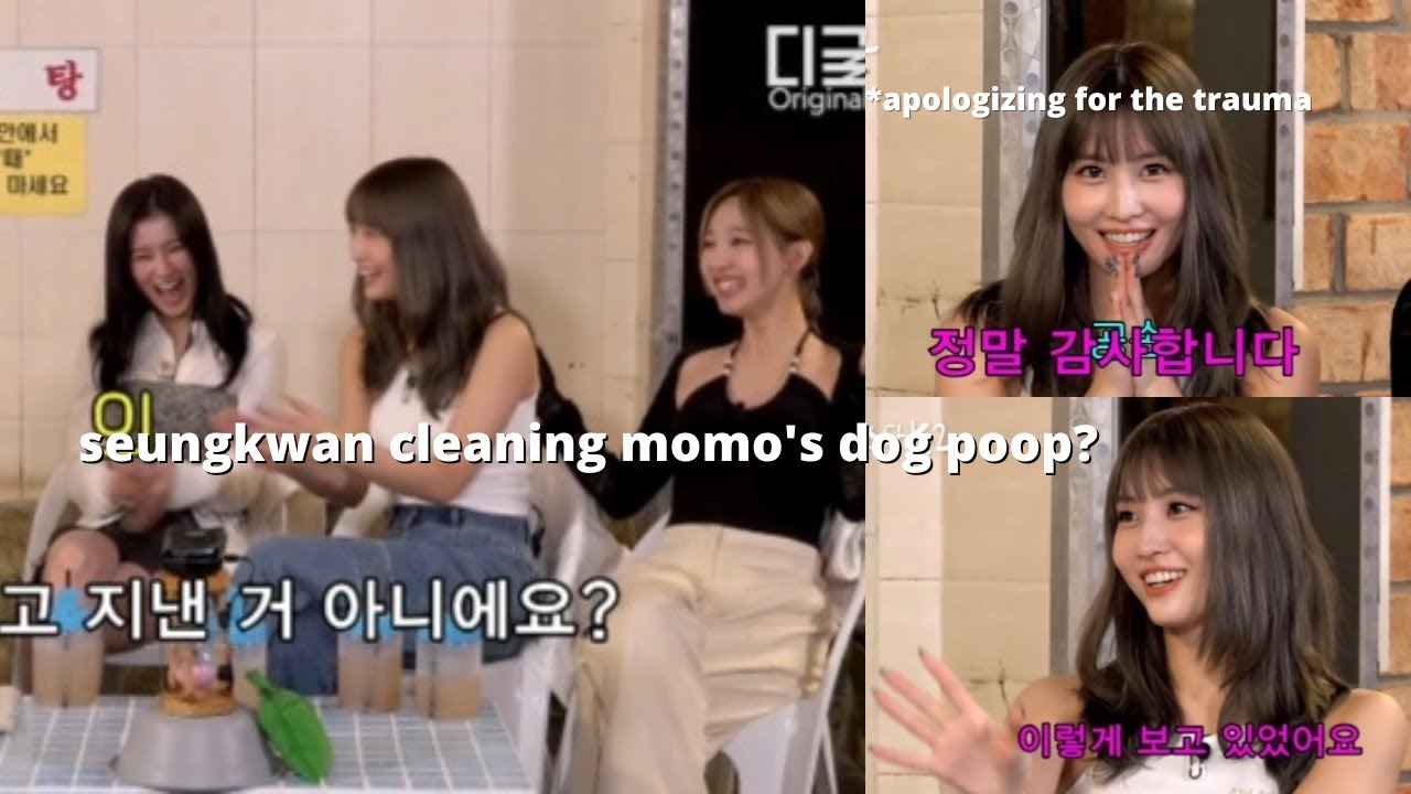 seventeen seungkwan cleaning dog poop - YouTube