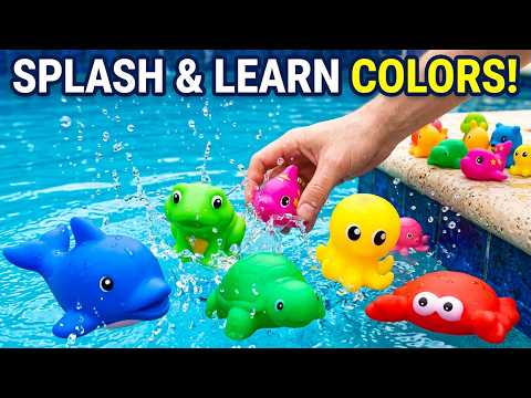 Sea Animals in the Pool - Video for Babies Kids - YouTube