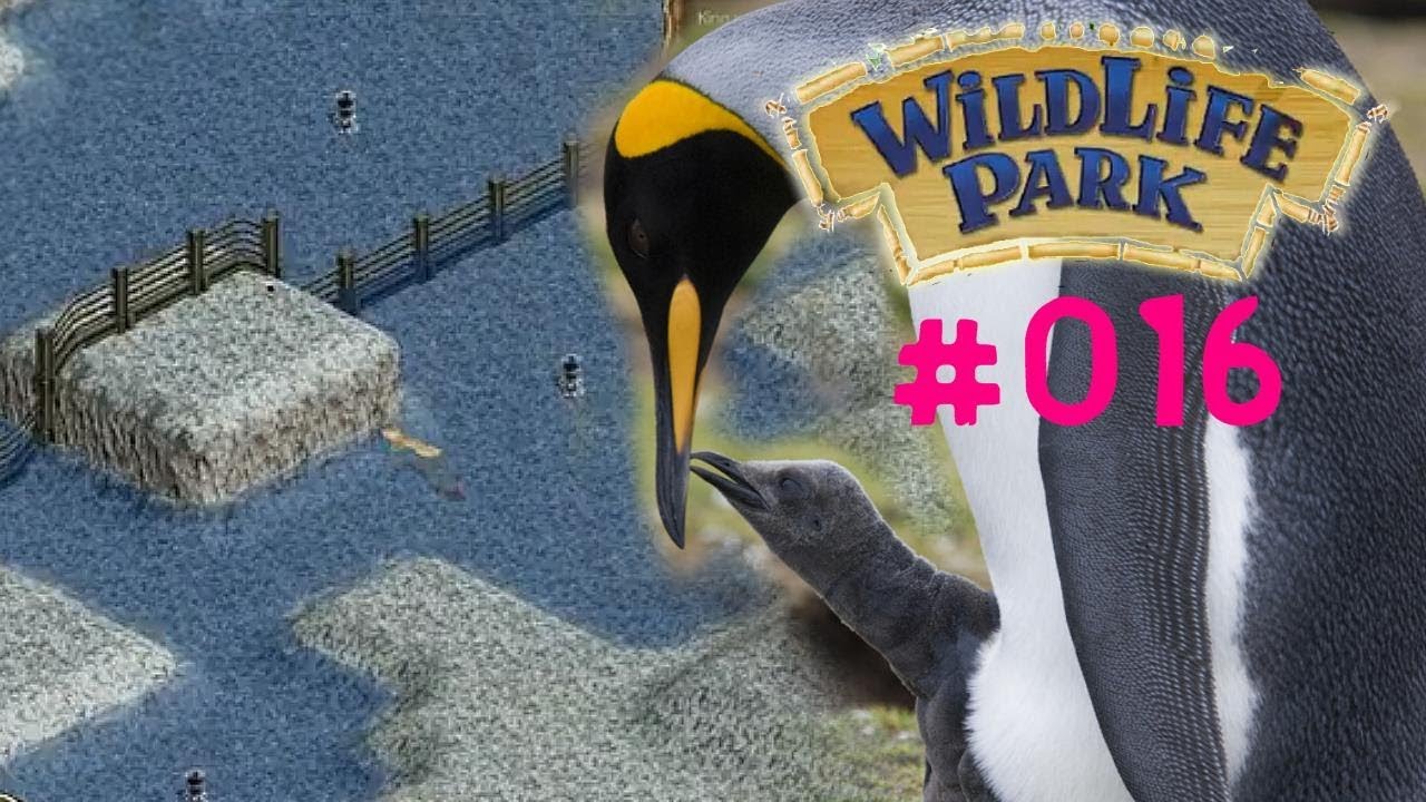 Save the animals #016 - Wildlife Park (PC) - YouTube