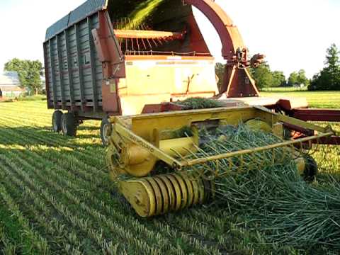 Chopping hay 2010 - YouTube