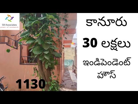 30 lacks| ఇండిపెండెంట్ హౌస్ | కానూరు | Vijayawada | @sbassociates5452 ...
