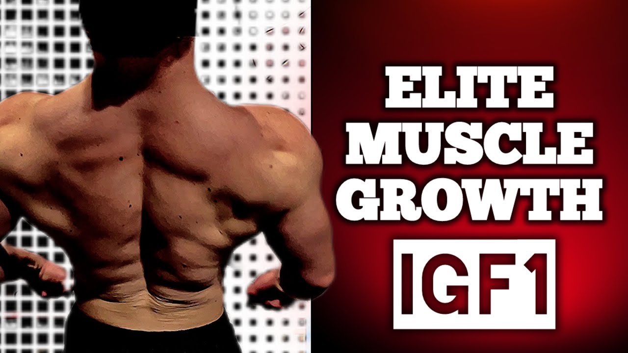 IGF-1: The Secret to Rapid Muscle + Bone Growth - YouTube